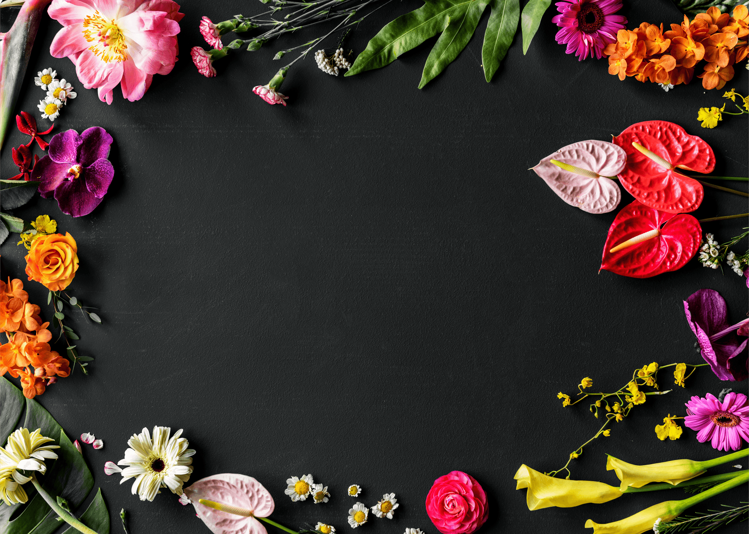 2-In-1 Doors – Complete Doors Online